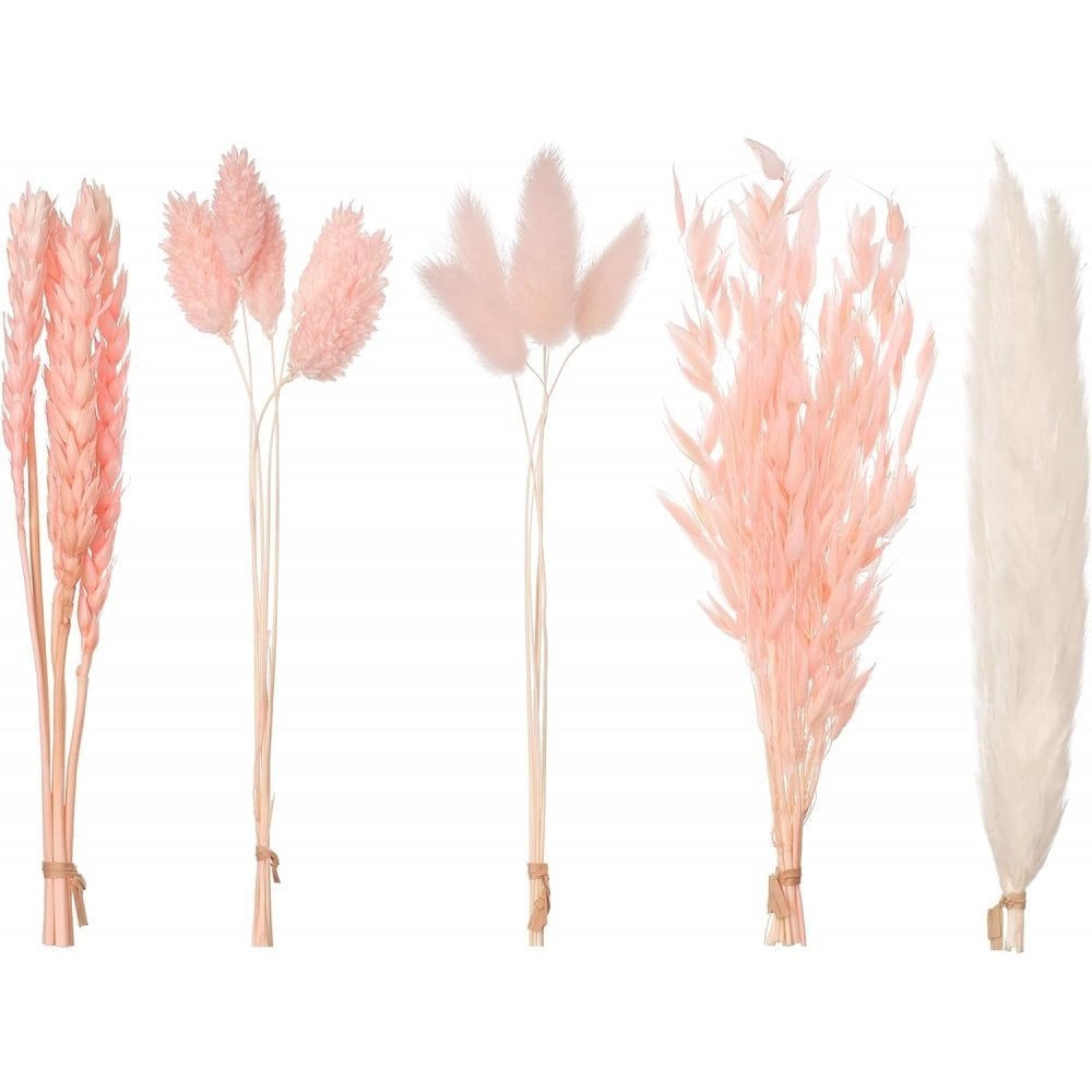 Light Pink Mixed Dried Flower Box – The Cake House